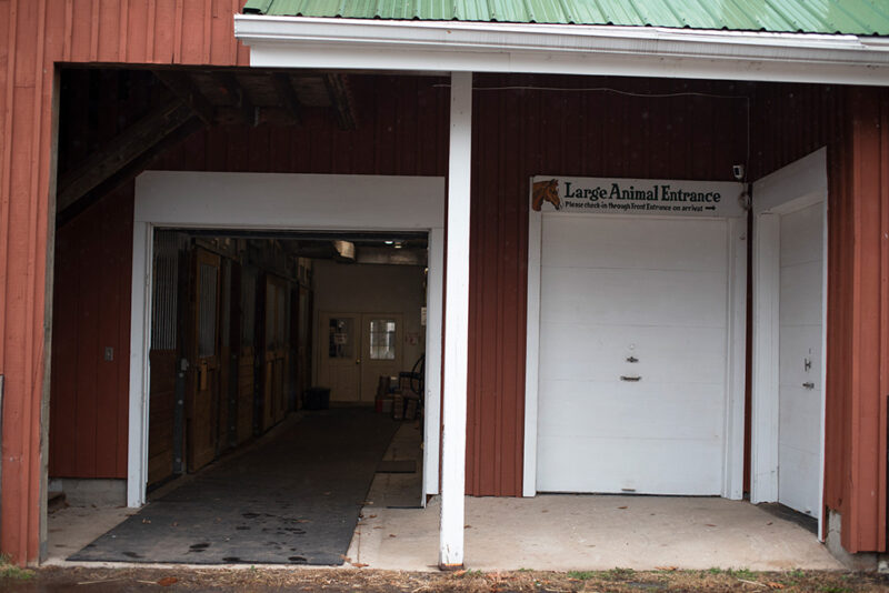 Large Animal Emergencies – Beckett & Associates Veterinary Services ...