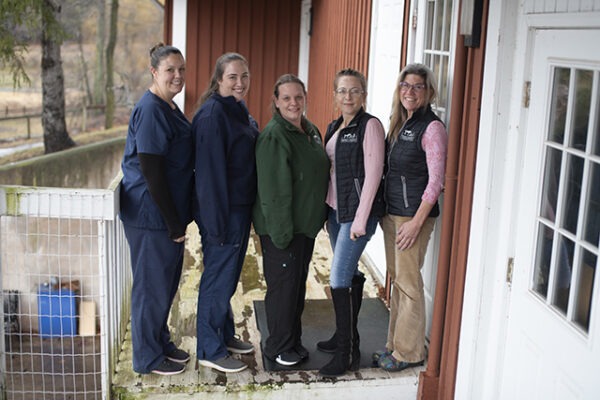 Meet Our Team – Beckett & Associates Veterinary Services - Glastonbury, CT