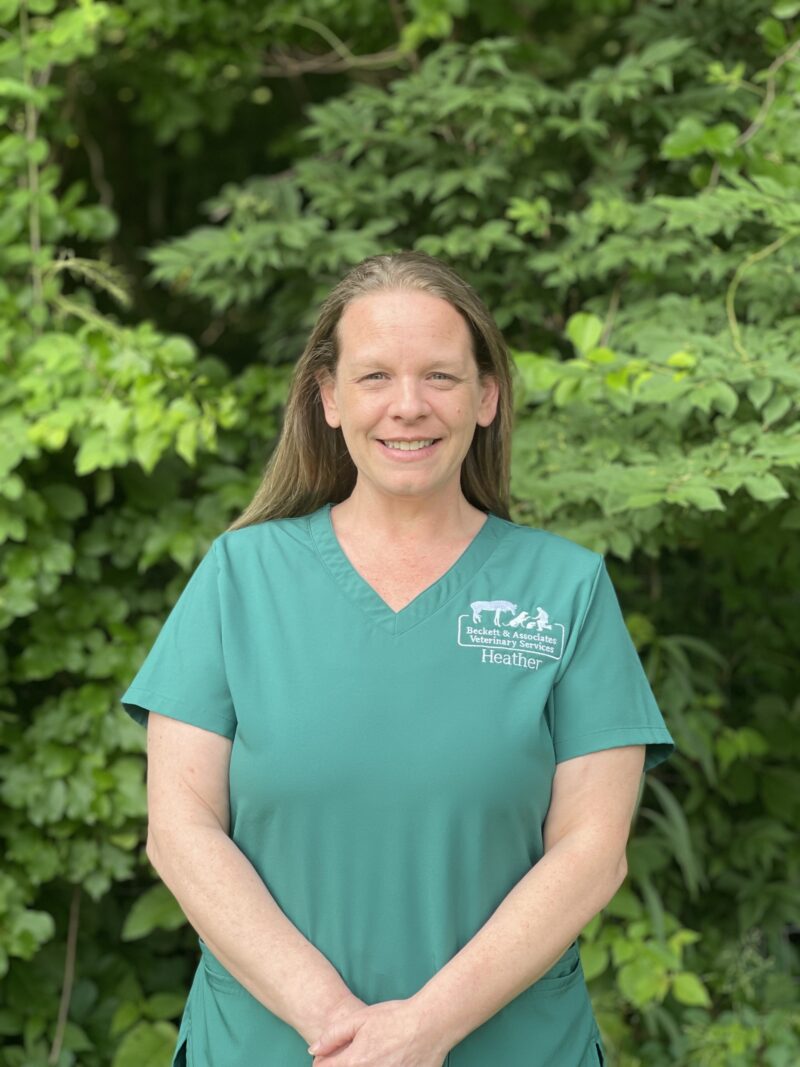 Meet Our Team – Beckett & Associates Veterinary Services - Glastonbury, CT